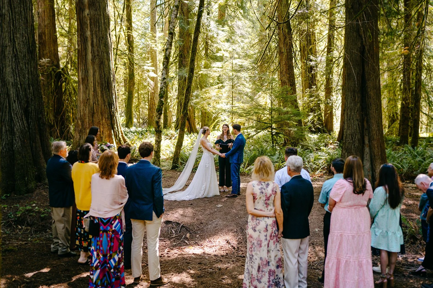 How to Elope in Olympic National Park | 2025 Guide - Running Wild Studio