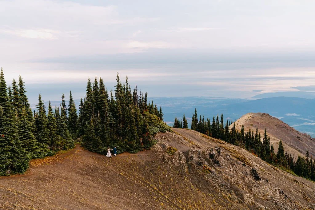 How to elope in Olympic National Park | 2024 Planning Guide - Running ...