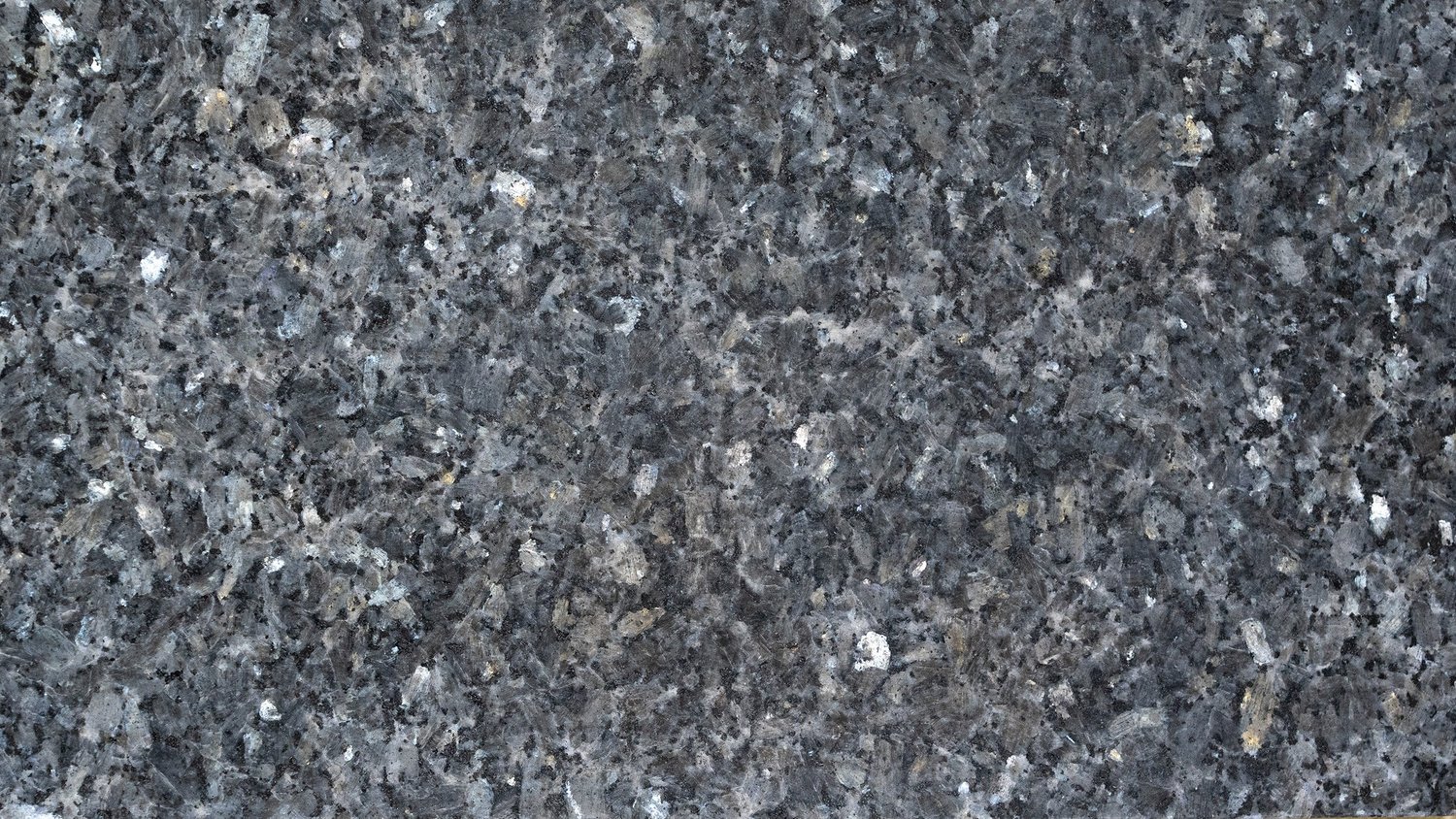 Neutra Natural Stone Distributor | Bellus Group
