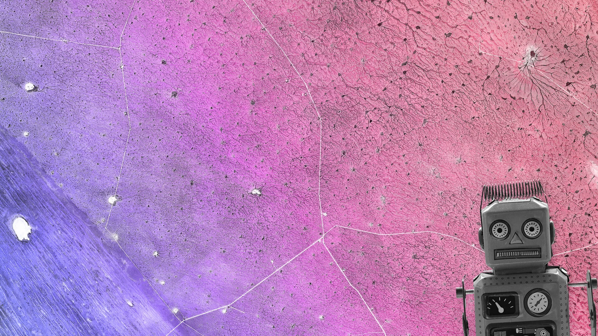 LIVE STREAM — Z-TOPIA