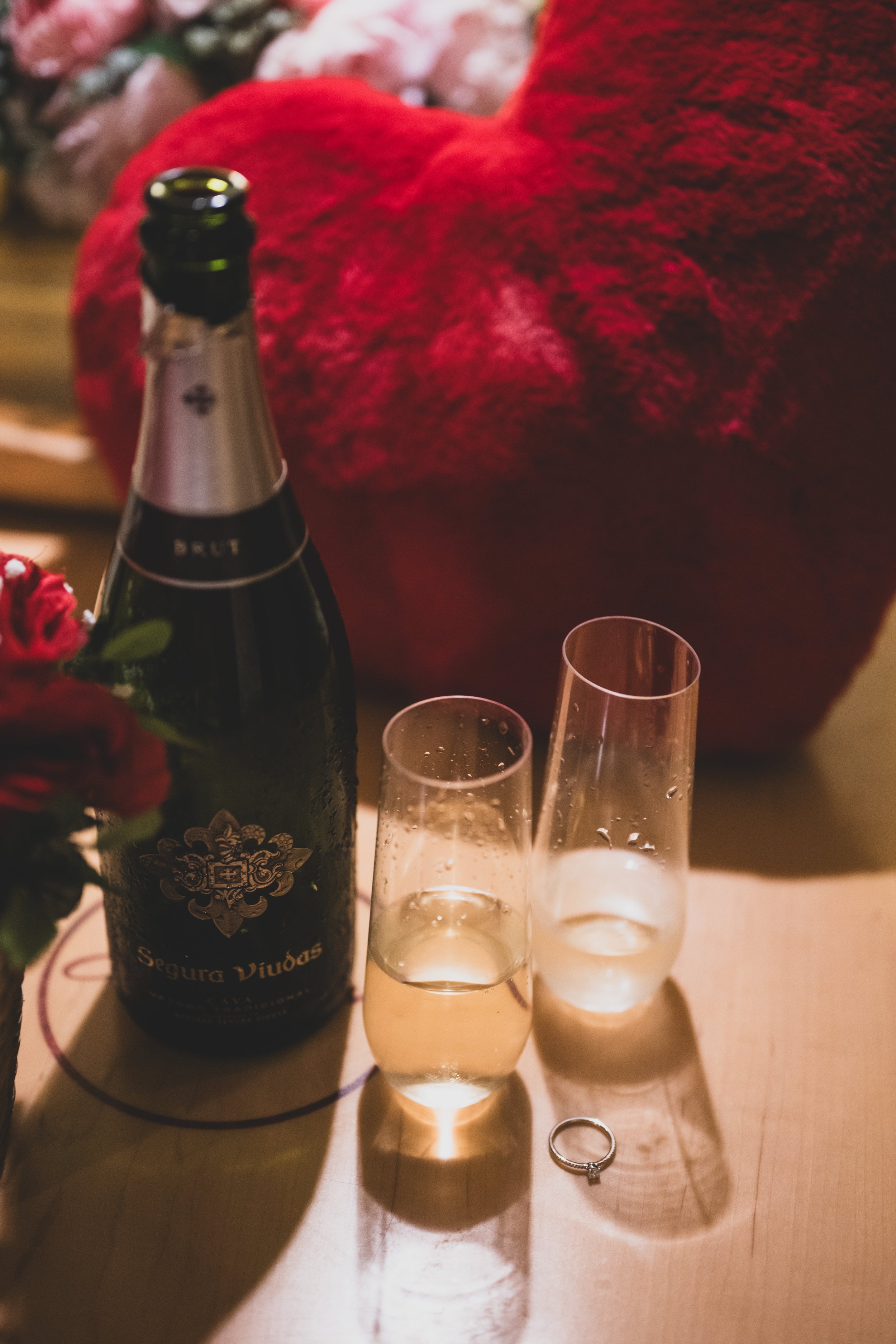 A Surprise Proposal: Love Afloat in the City | Tashography