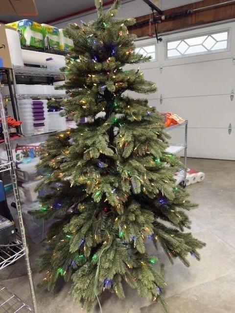 6FPS V8#1: My Year Without Chocolate — Chuq Von Rospach - Birds ...