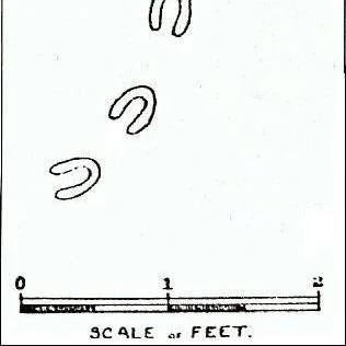 The Devil's Footprints of Devon, England — Facts-Chology