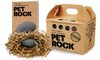 The Facts on The Pet Rock that Made Millions — Facts-Chology