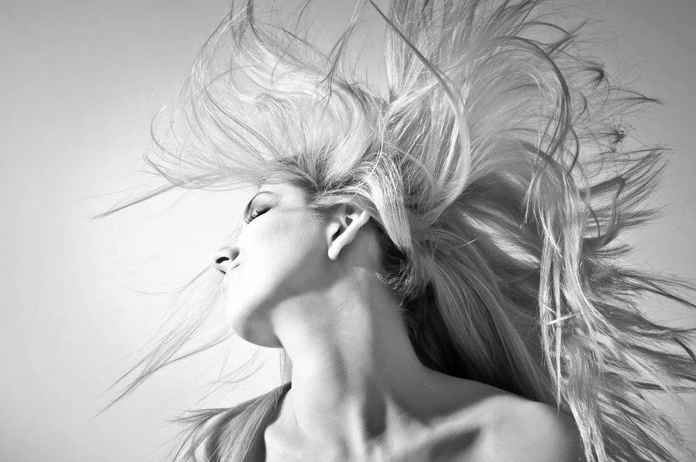 Styling — Edward James