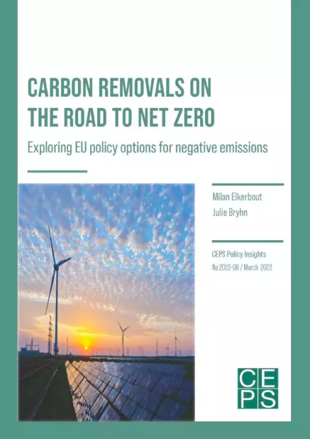 Reports — Negative Emissions Platform