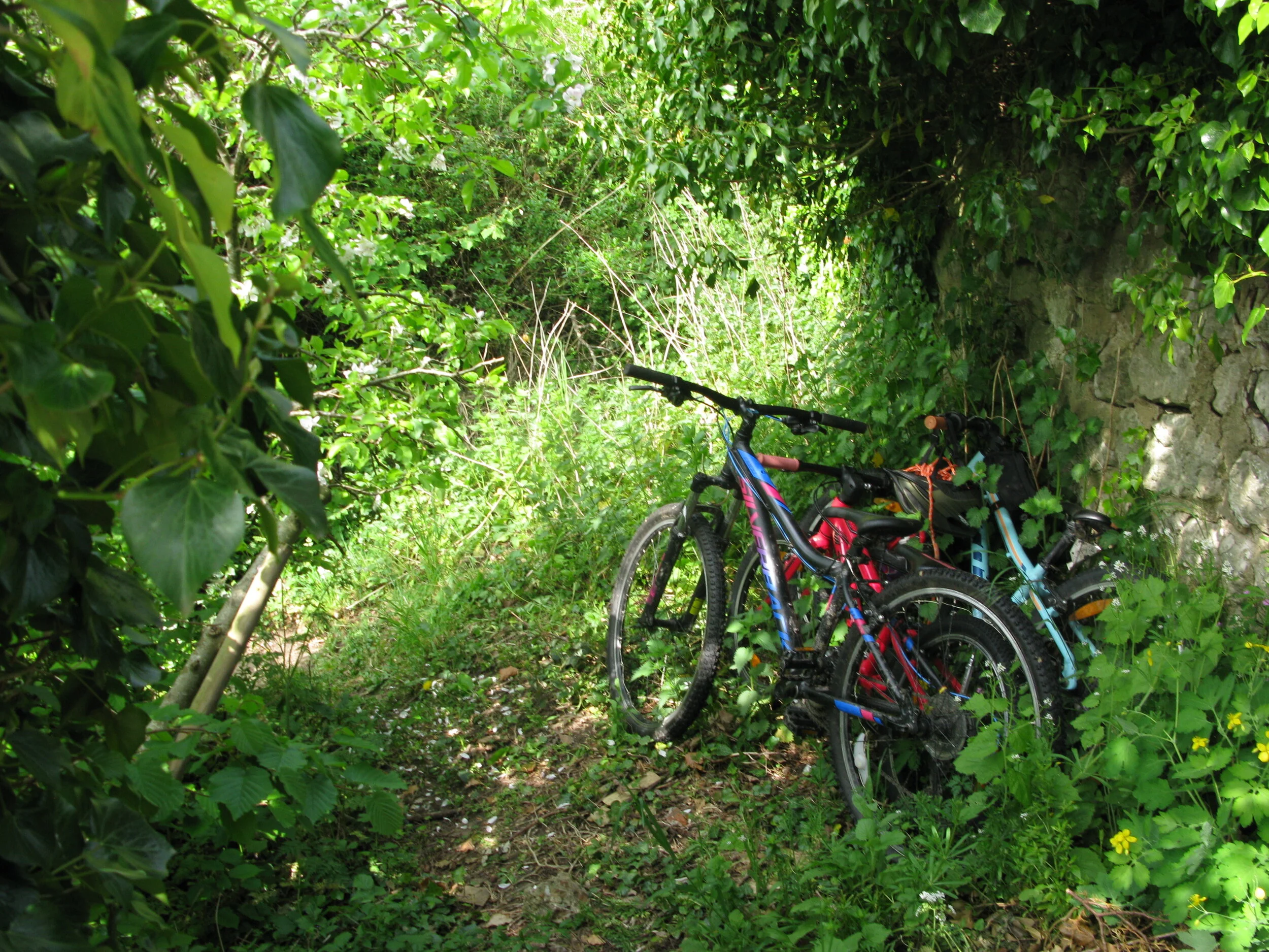 Raised deck with a view — Plane and Simple Garden