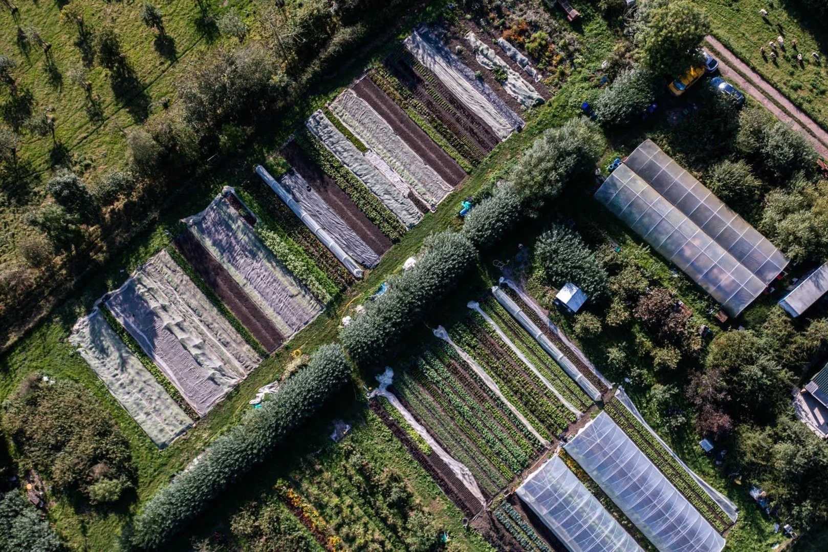 Springtail Farm