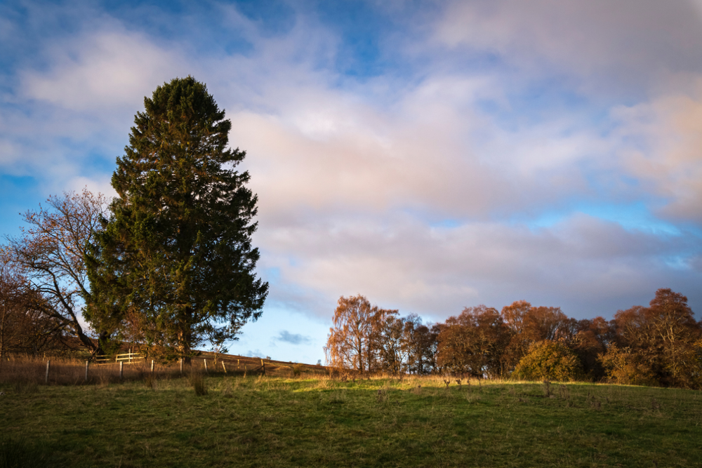 Explore the Beauty of Perthshire, Scotland