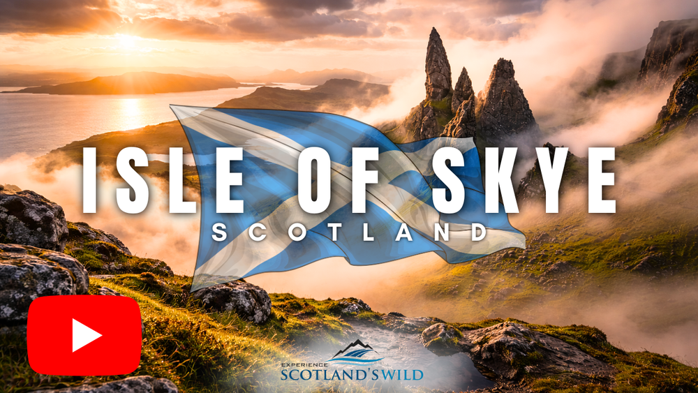 Isle of Skye Travel Guide (2026): What to See, Do & How to Get There ...