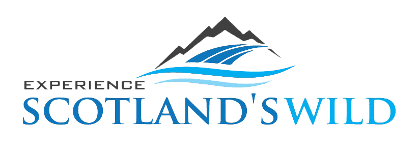 Wallabies on Wallaby Island in Loch Lomond | Guide & Tips