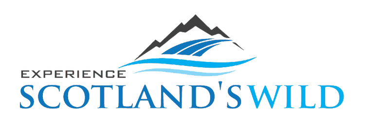 Wallabies on Wallaby Island in Loch Lomond | Guide & Tips