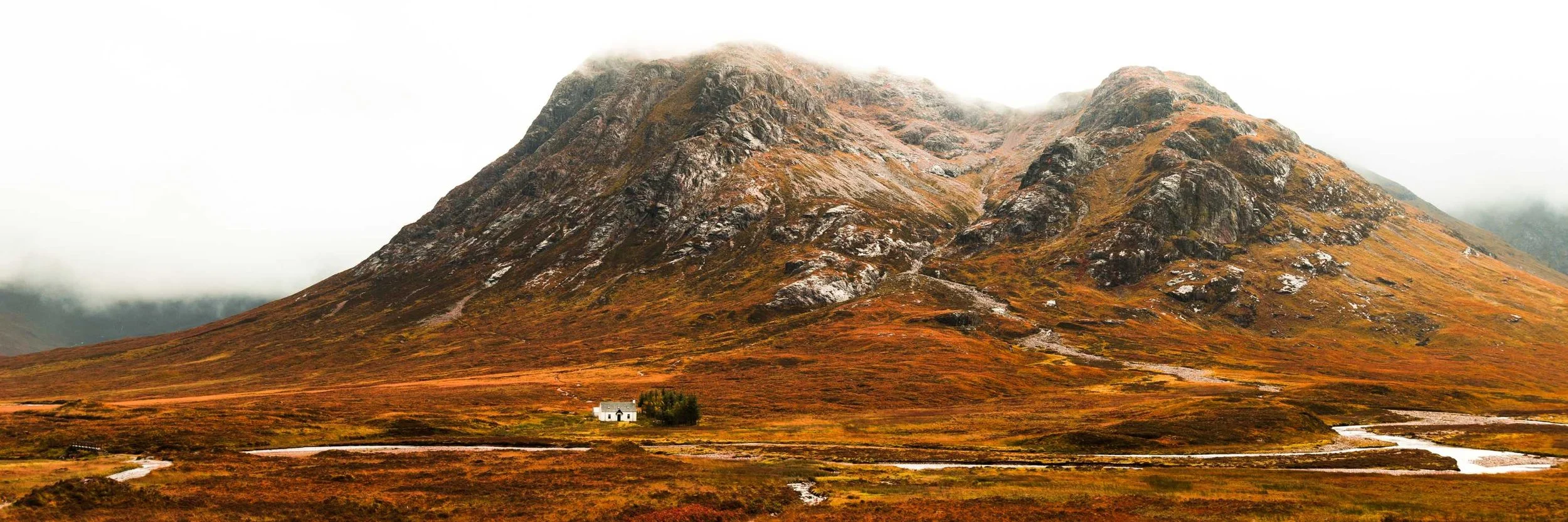 Wallabies on Wallaby Island in Loch Lomond | Guide & Tips