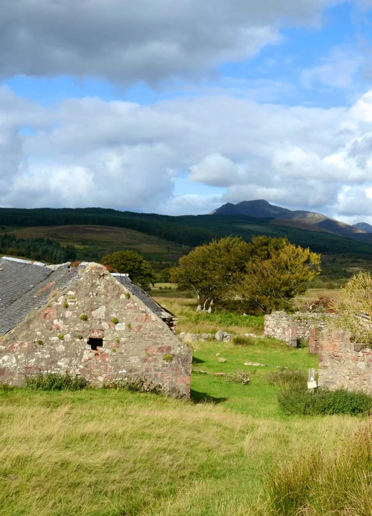 Isle of Arran: Discover Scotland's Natural Beauty, Wildlife, and History