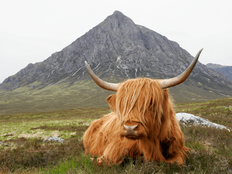 The Ultimate Scotland Guide: Touring The Highlands of Scotland