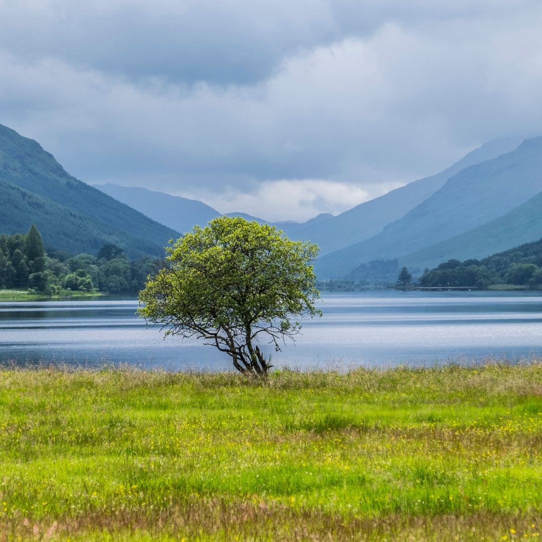 The Outlaw Hero: The Legendary Life of Rob Roy MacGregor