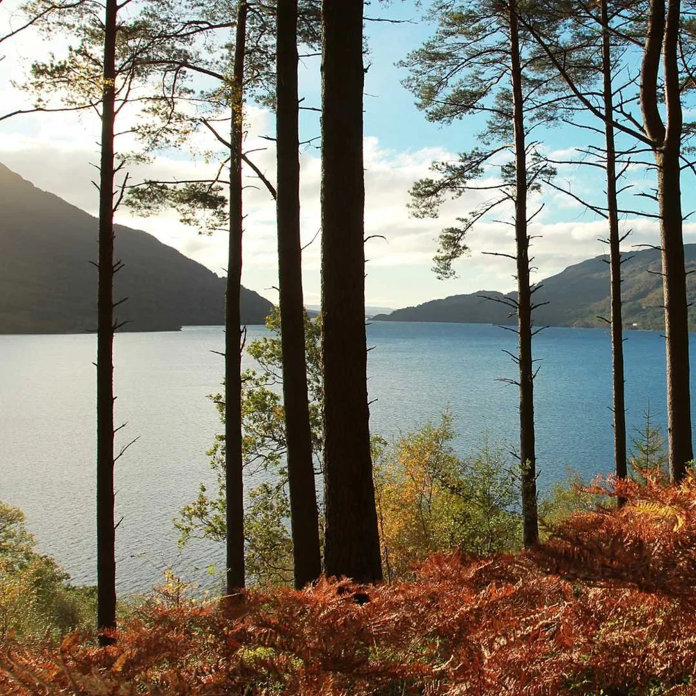 The Complete Scotland Travel Guide