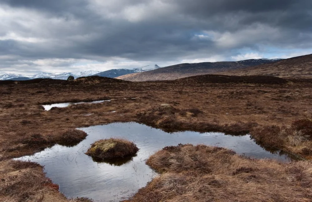 The Ultimate Loch Ness Day Trip