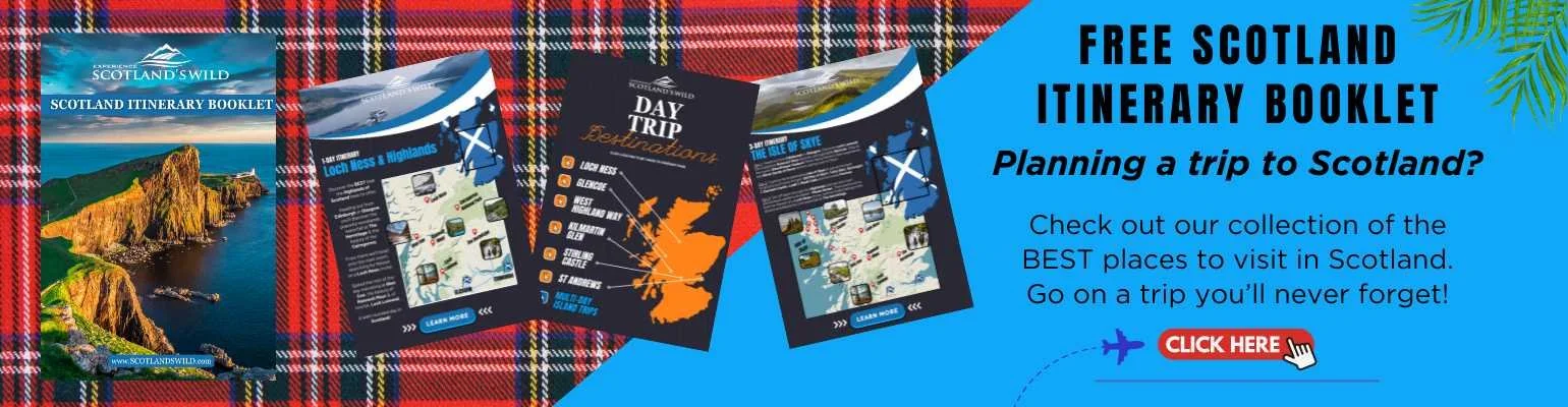 Red Deer in the Scottish Highlands: Where to Spot Them