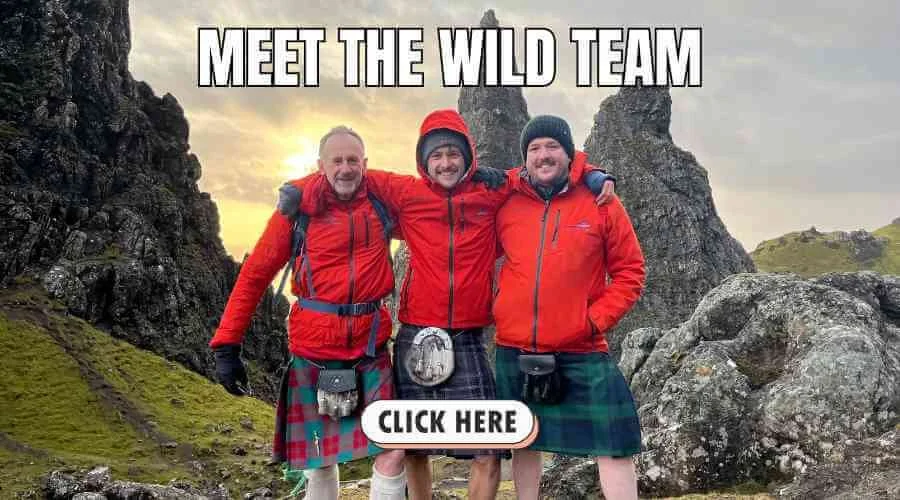 Red Deer in the Scottish Highlands: Where to Spot Them