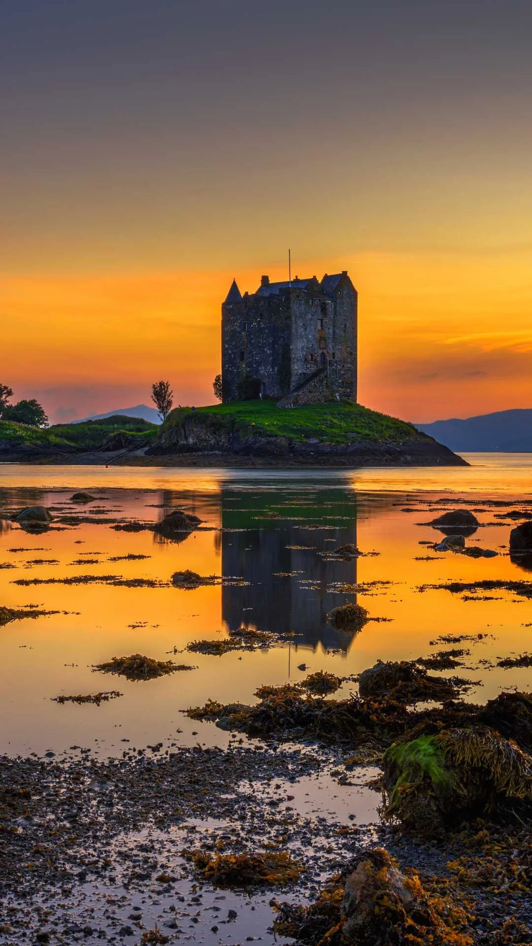 Castle Stalker Scotland Stalker Castle In Scotland At Low Tide Stock