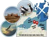 Puffin Boat Trip & Castle Day Tour from Edinburgh