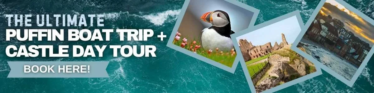 Puffins in Scotland: The Where, The When & The How