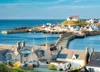 Moray Firth: Scotland's Coastal Gem for Dolphin Watching and Outdoor ...
