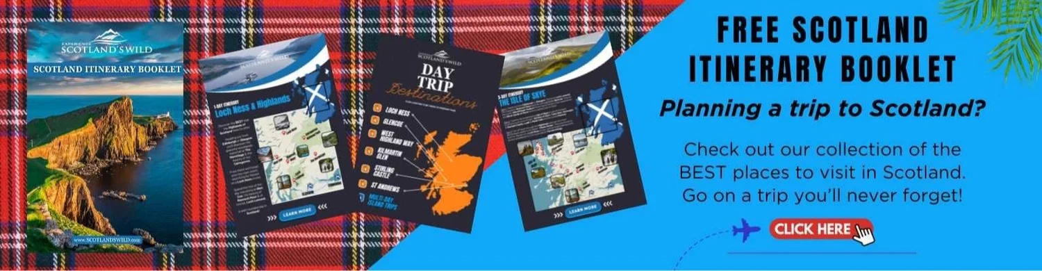 6 Scottish Traditions For Hogmanay