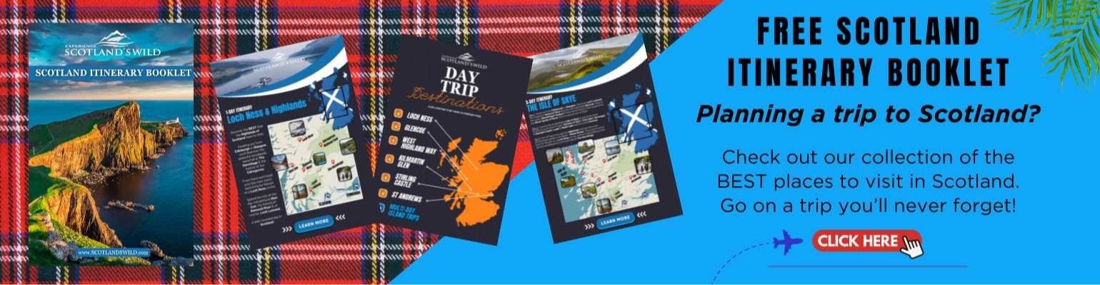 6 Scottish Traditions For Hogmanay