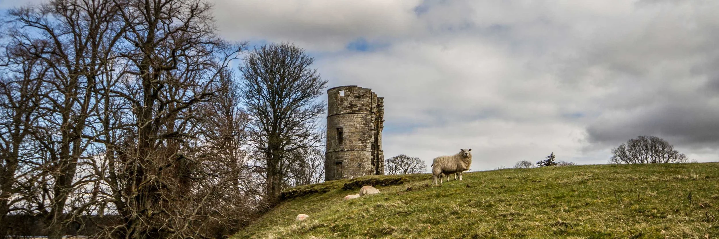 Clan Douglas in Scotland
