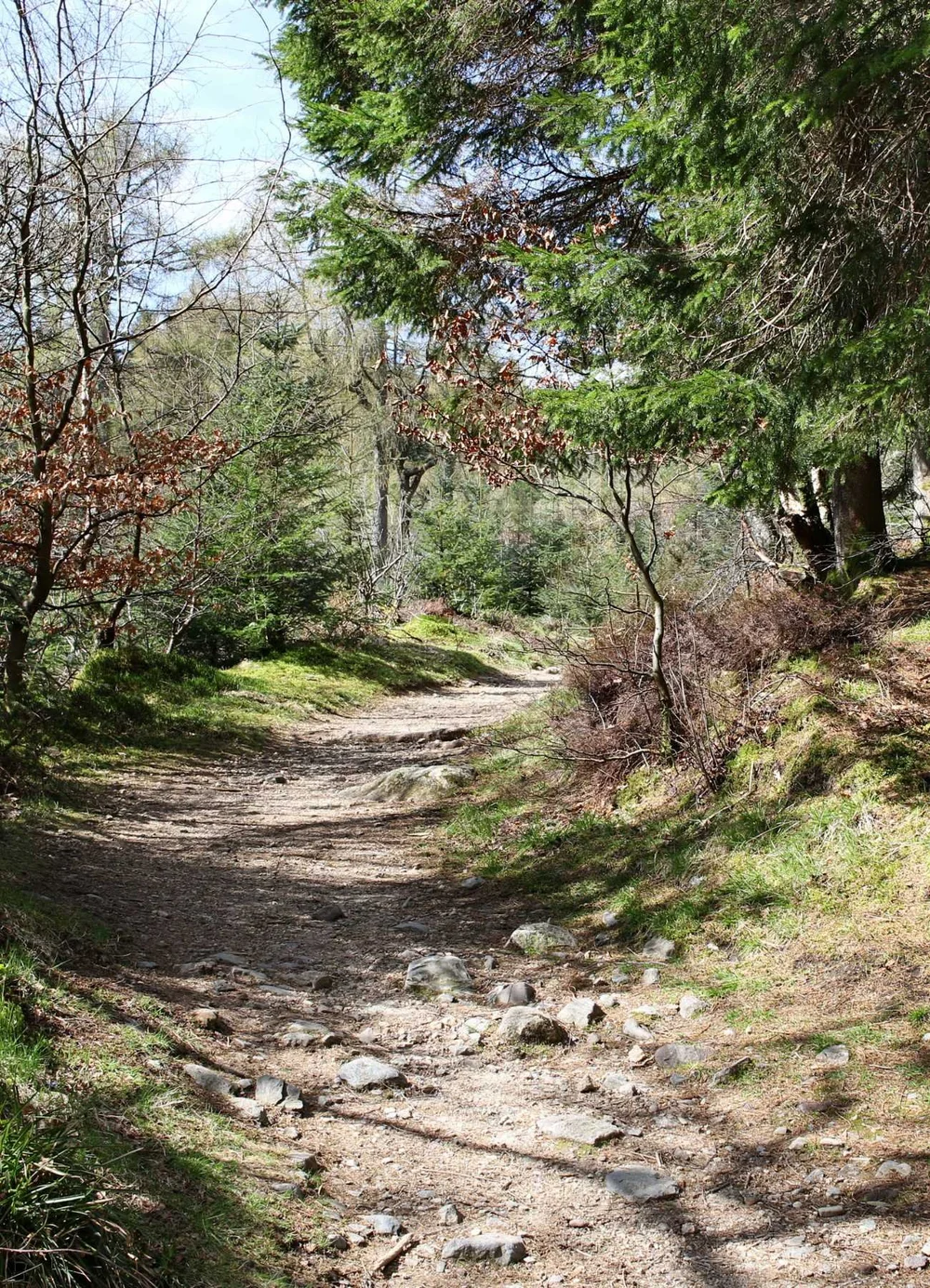 Isle of Arran: Discover Scotland's Natural Beauty, Wildlife, and History