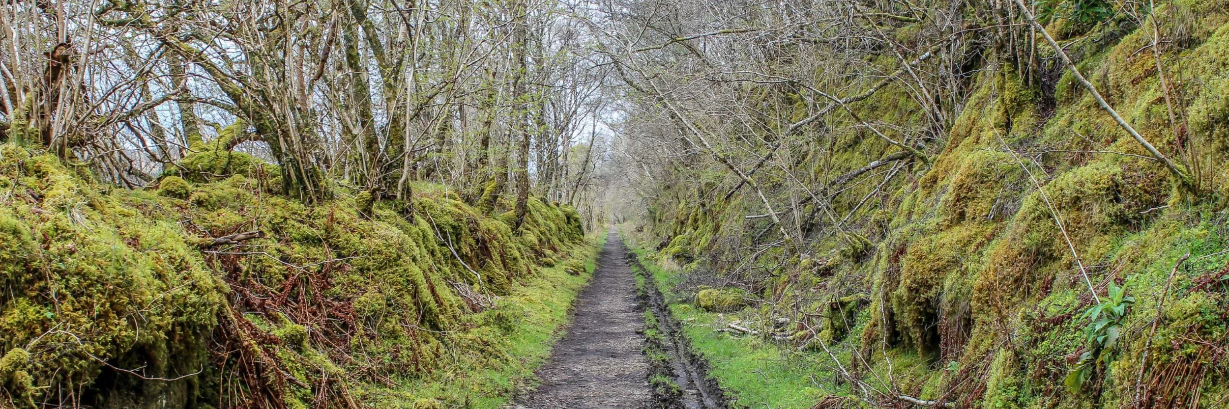 The Great Glen Way: A Stunning Hiking Trail in Scotland