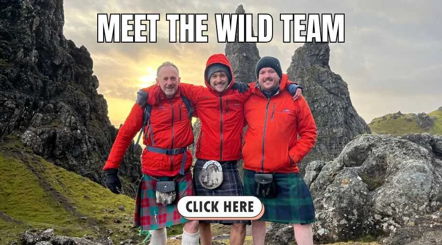 Wallabies on Wallaby Island in Loch Lomond | Guide & Tips