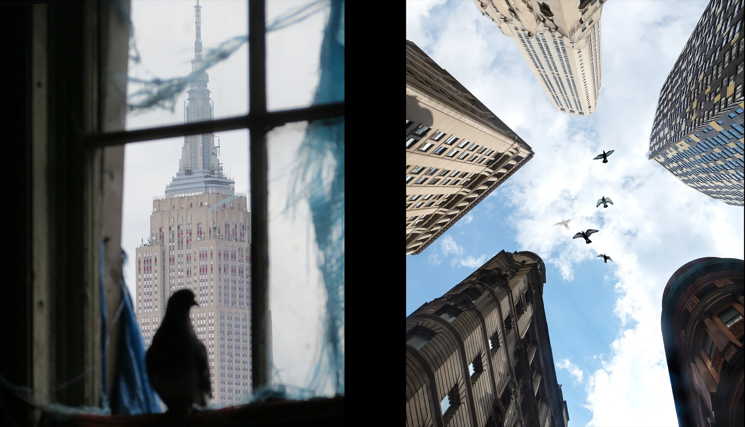 General 1 — Andrew Garn Photographs