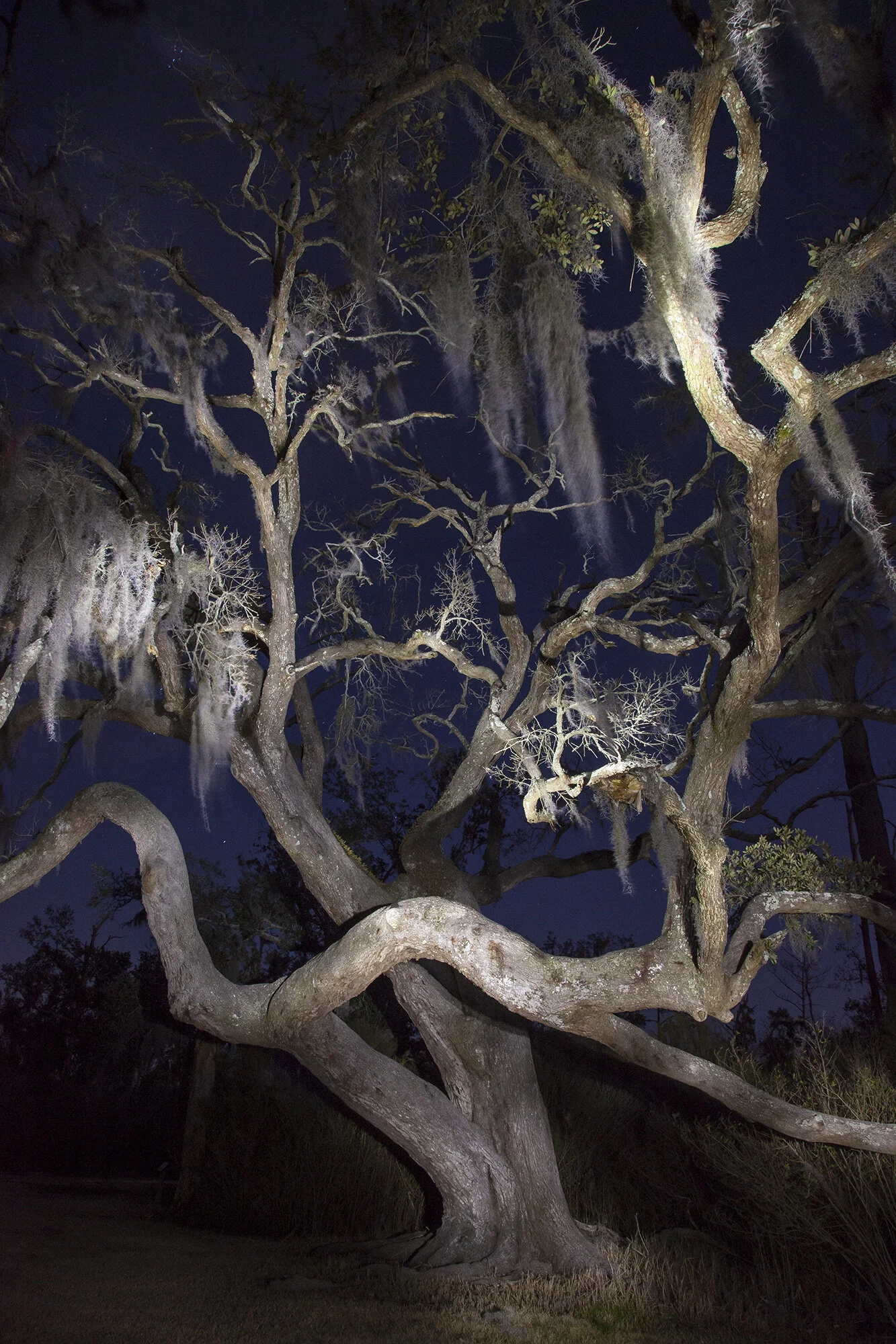 Andrew Garn PhotographsAndrew Garn, New York photographer