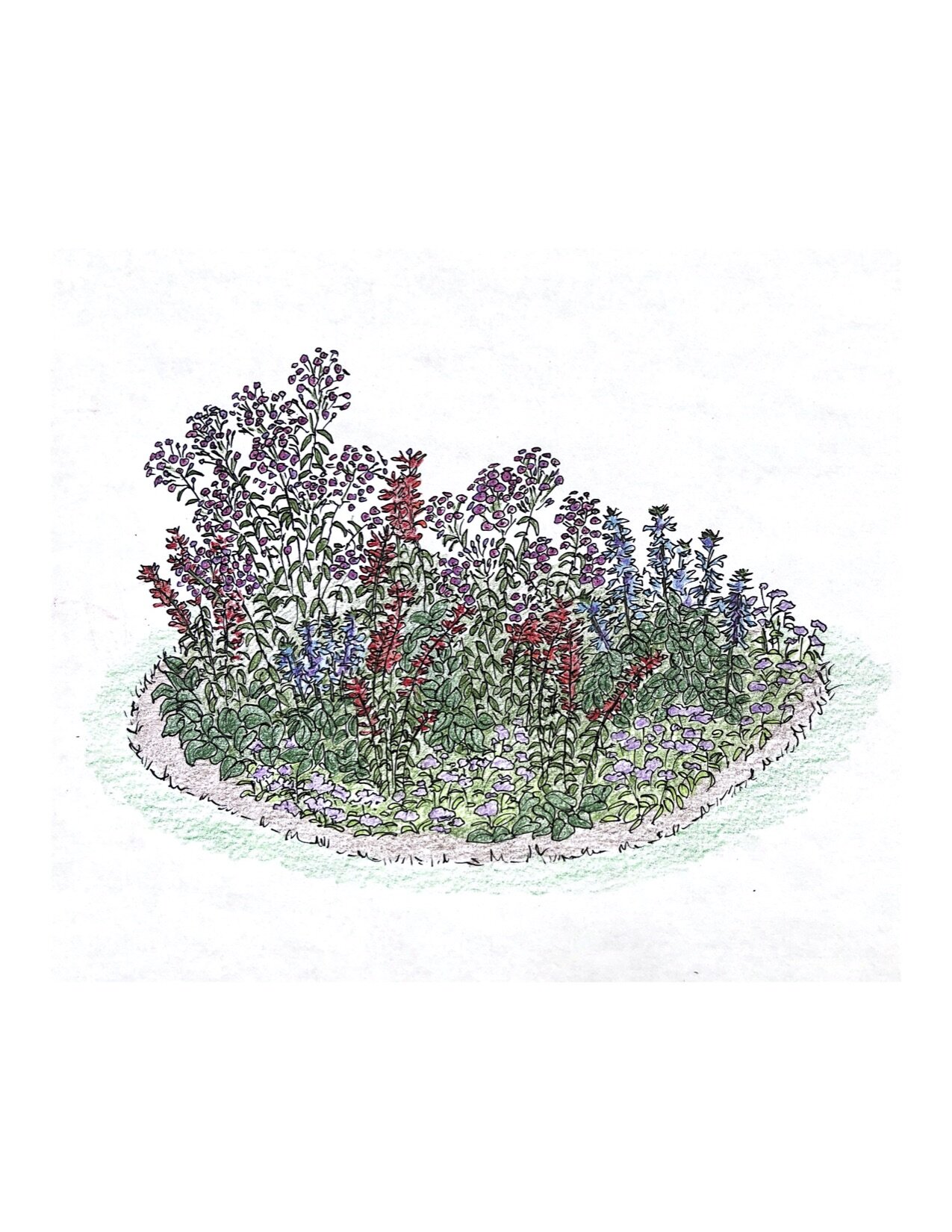 Dry Sun Habitat Pack (dry/average soil, full sun) — The Natural Garden ...