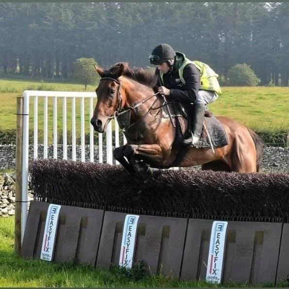 Horses In Training — Coltherd Racing