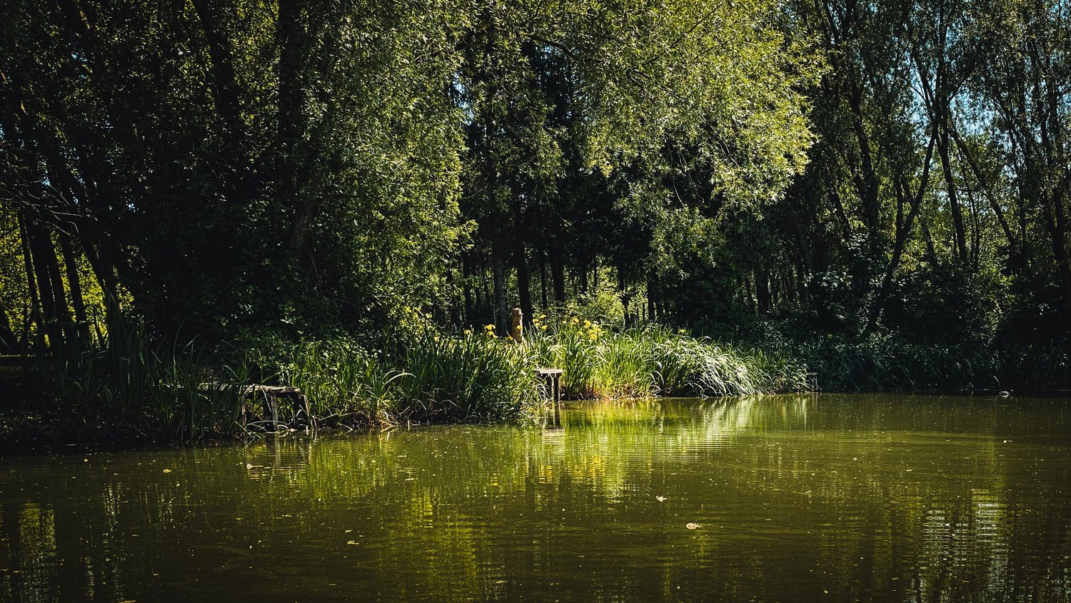 Fishing | Enjoy Quality Fishing Today — Woodend Farm Complex