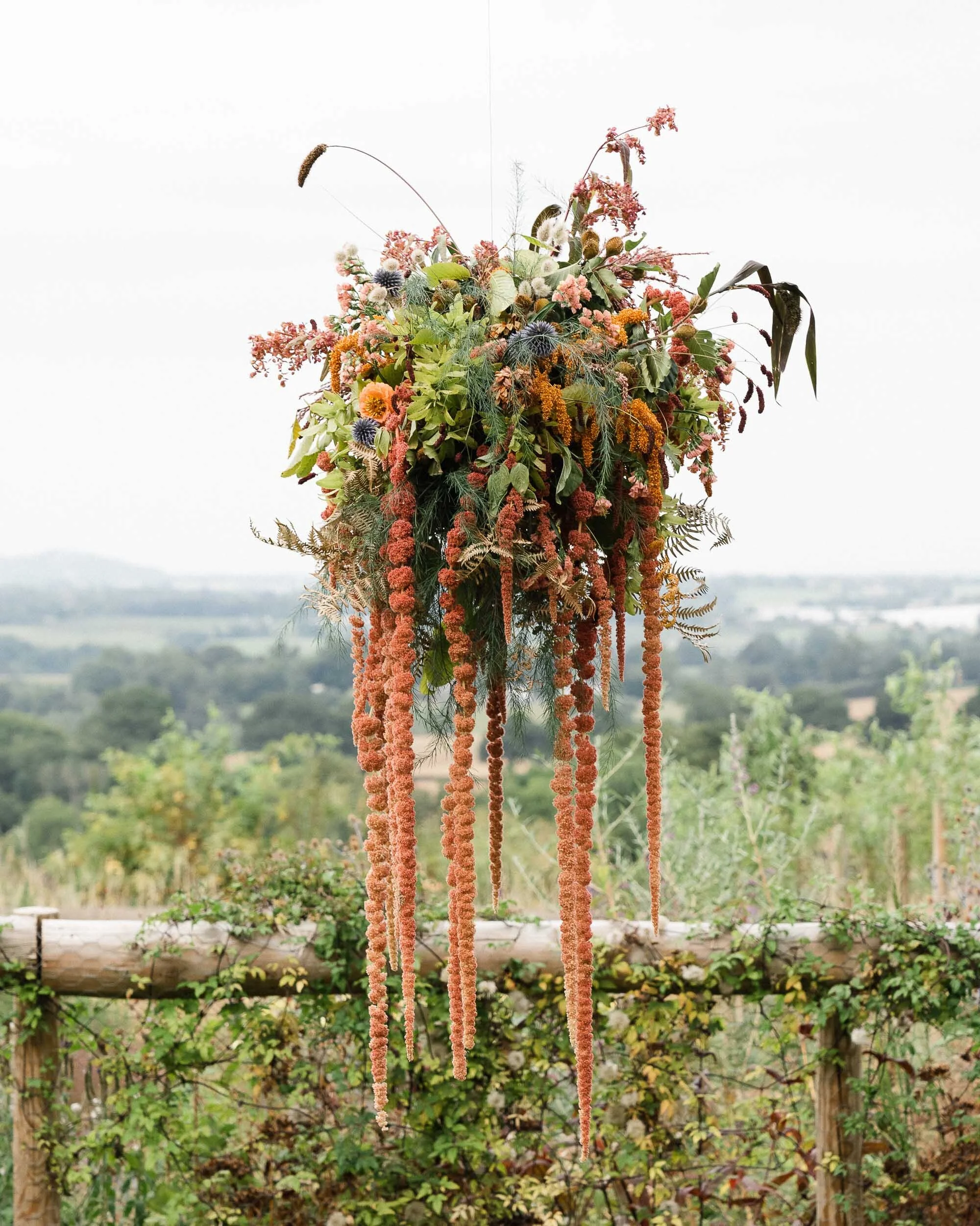 Andrea Gilpin Photography — Flower Cloud Workshop