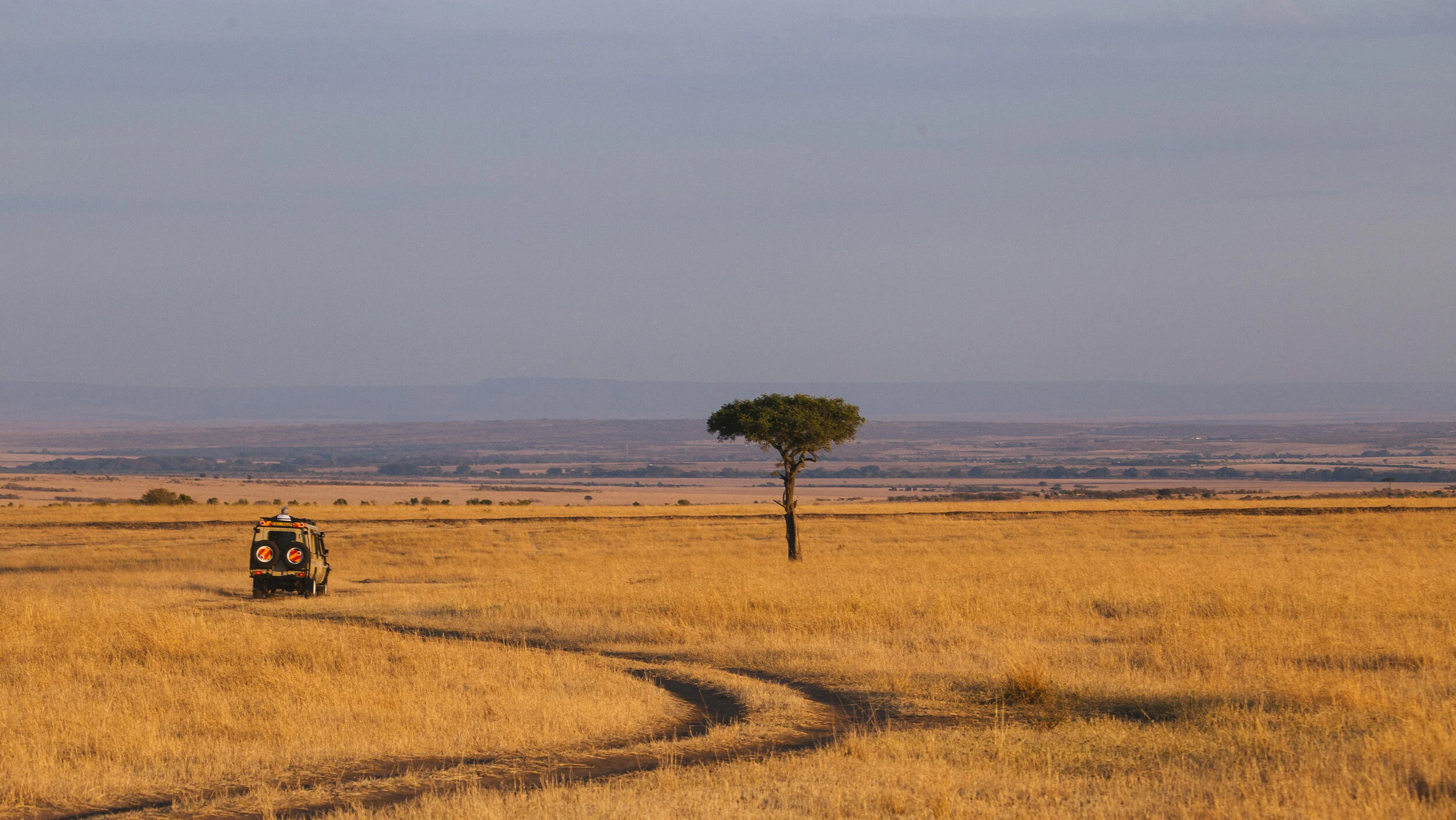 Devine Adventures ltd