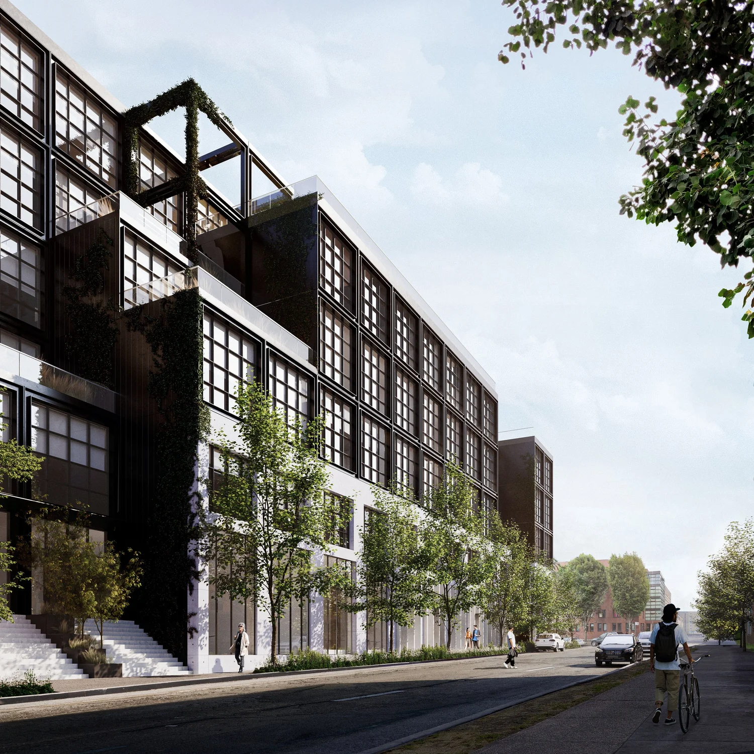 Alexander Street — mknly architecture / black chamber — McKinley Studios