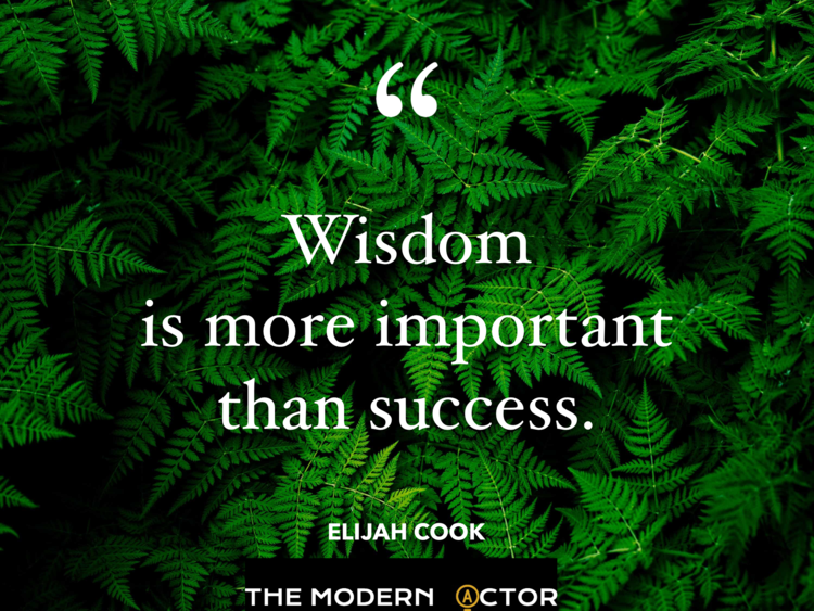 Define Your Why And Enter Your Calling With Elijah Cook — The Modern Actor