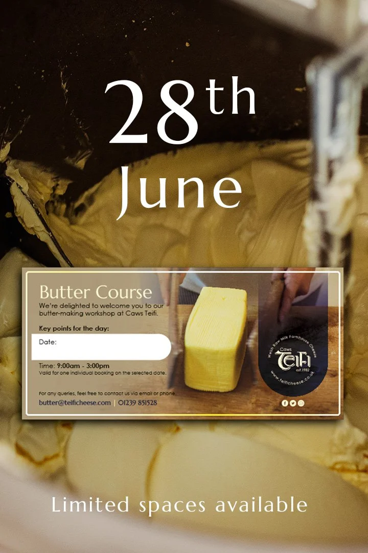 Buy Cheese — Caws Teifi Cheese