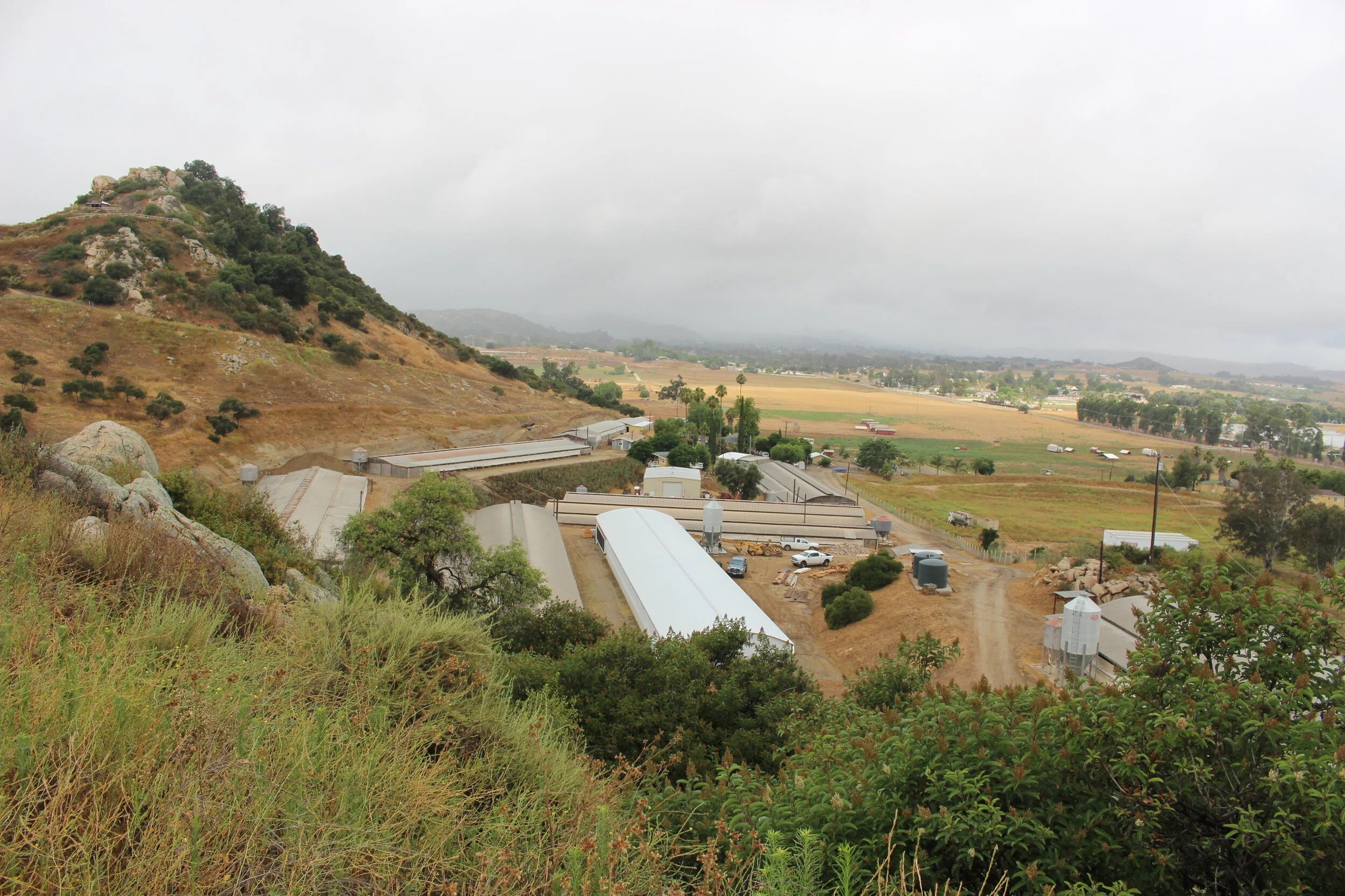 Eben-Haezer Egg Ranch Eben-Haezer Egg Ranch