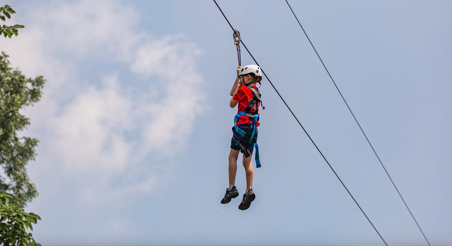 Heights Happenings — The Heights