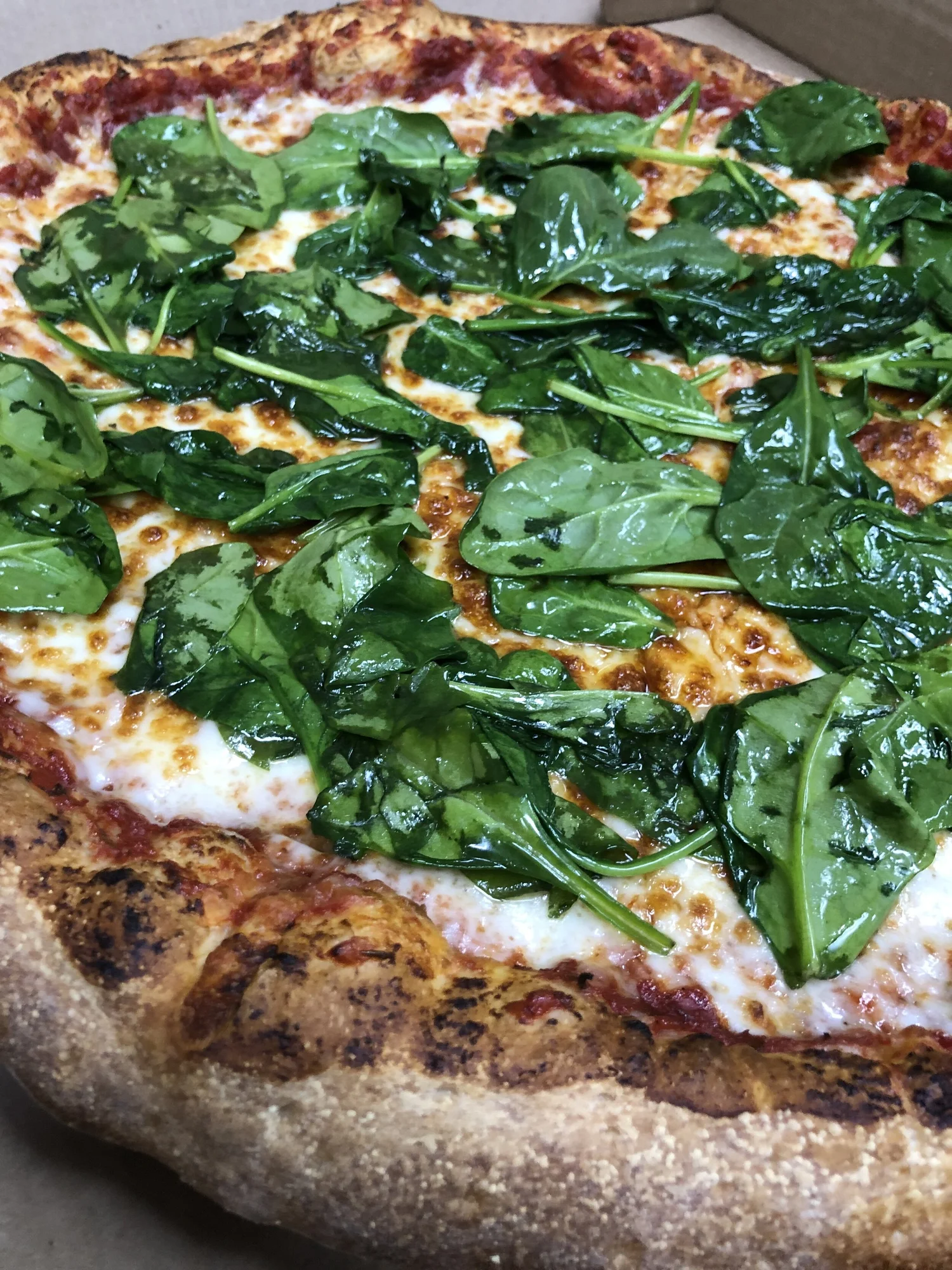 Zorba's Pizza & Grill - best pizza in Harford County, MD