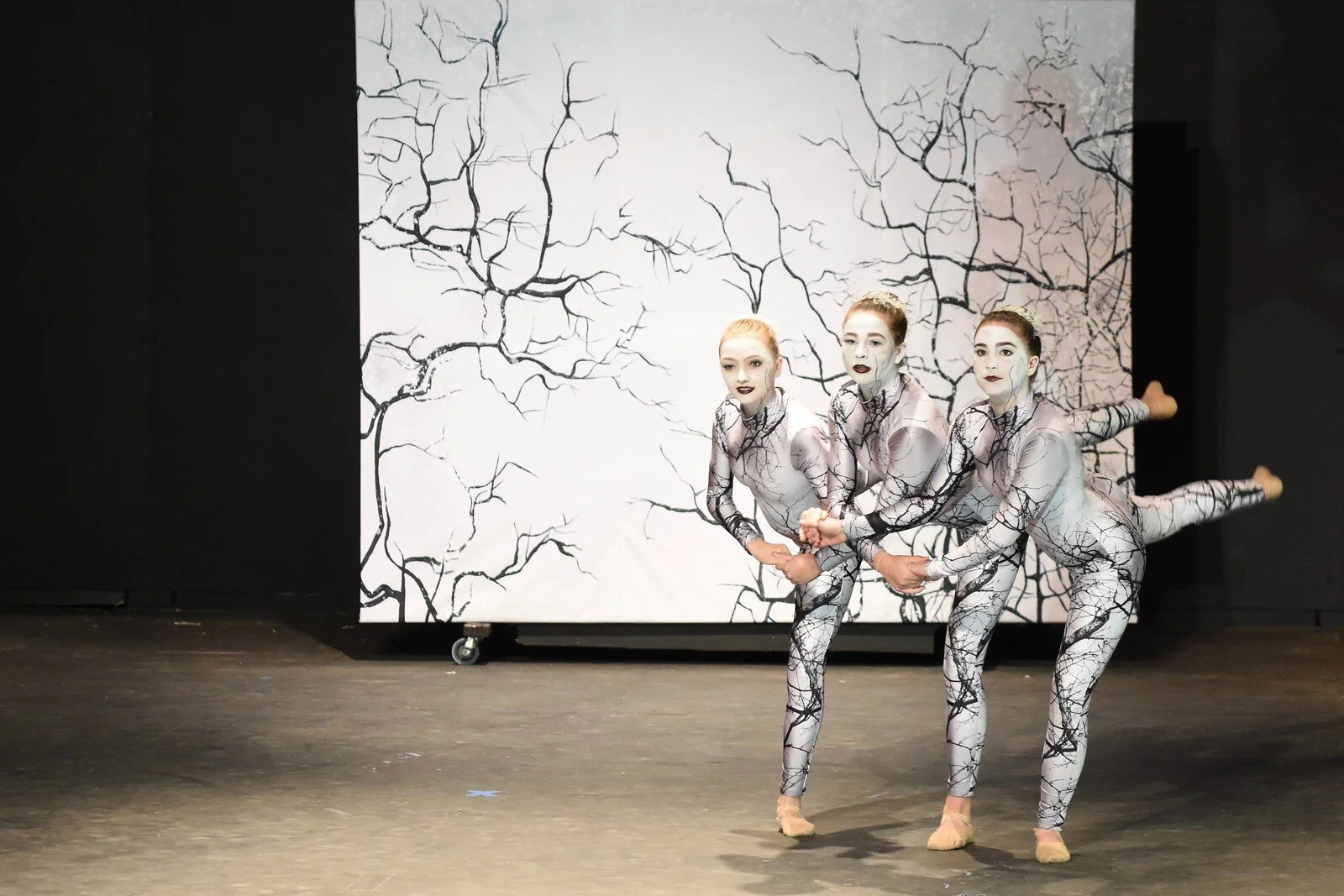 IMAGES DE DANSE — TARRYTOWN DANCE