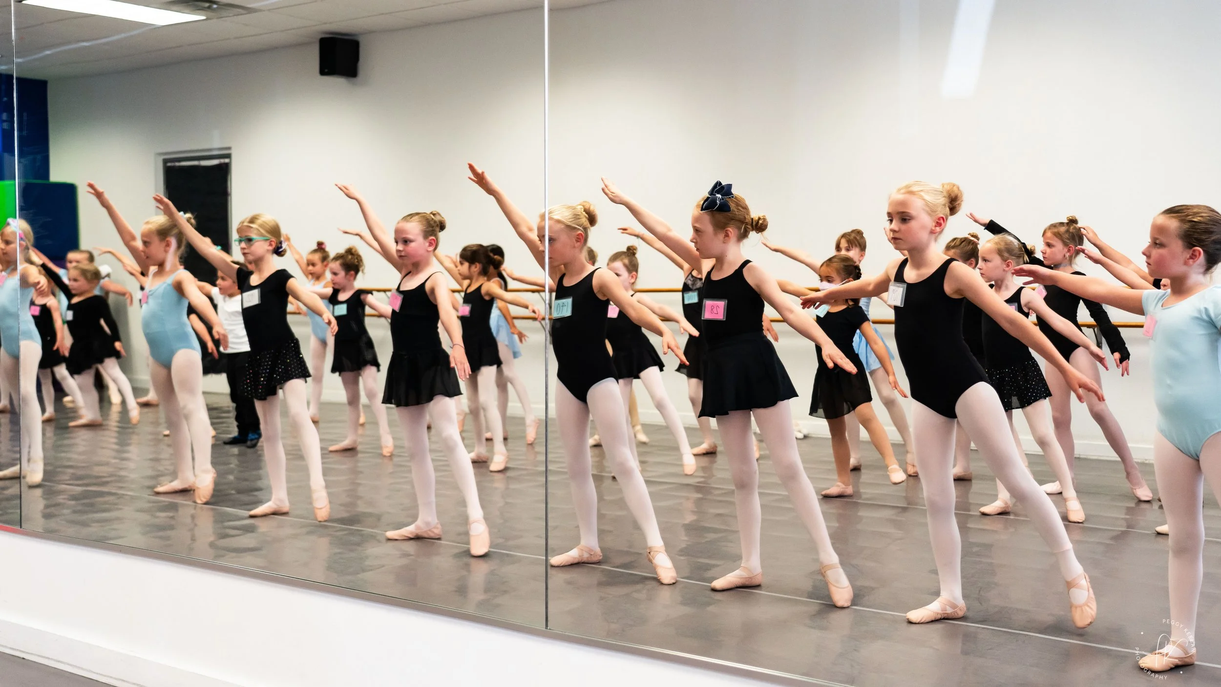 Classes Offered — TARRYTOWN DANCE