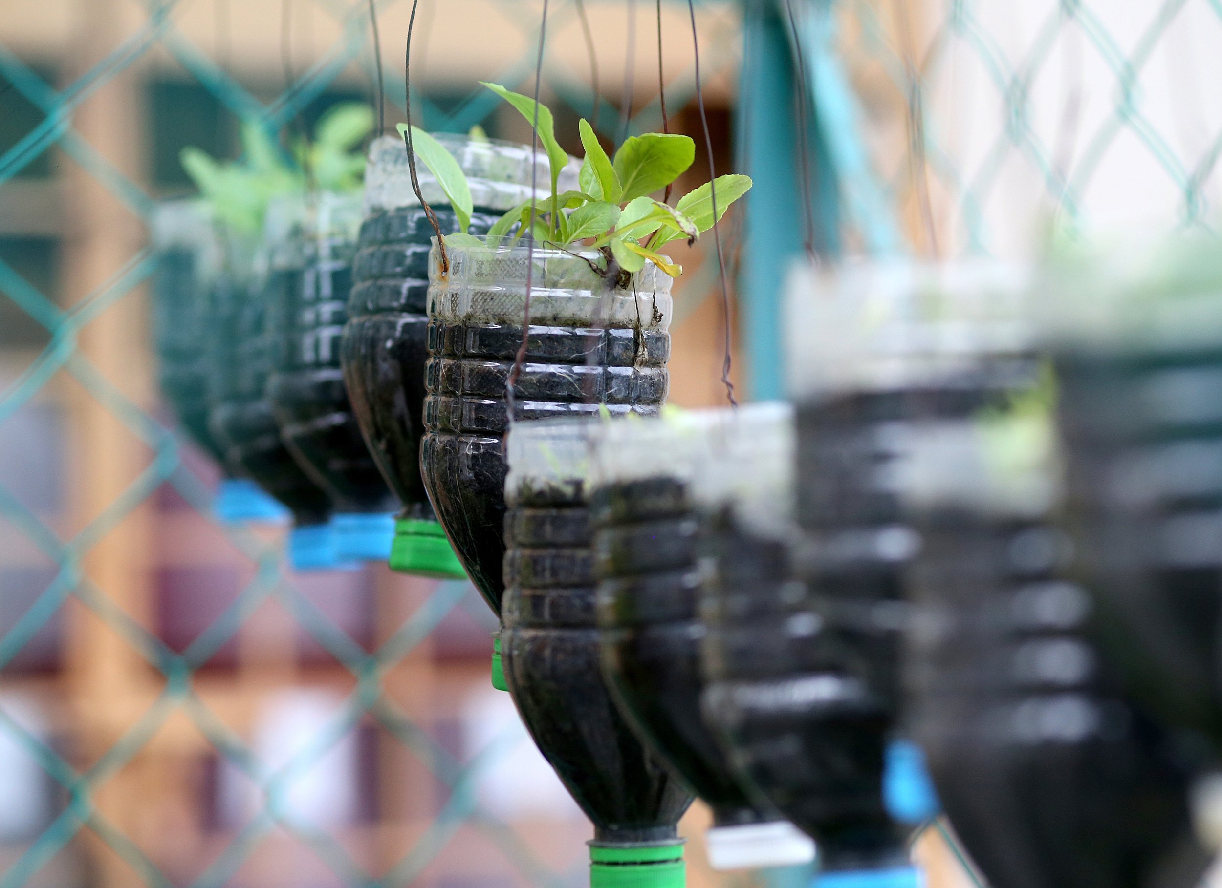 Ejemplos De Reutilización 10 Ideas Para Reciclar En Casa